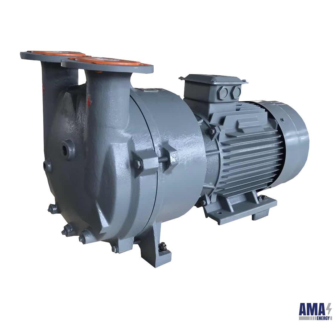 Liquid packed ring vacuum pump VVN model (2BV) | AmasEnergy