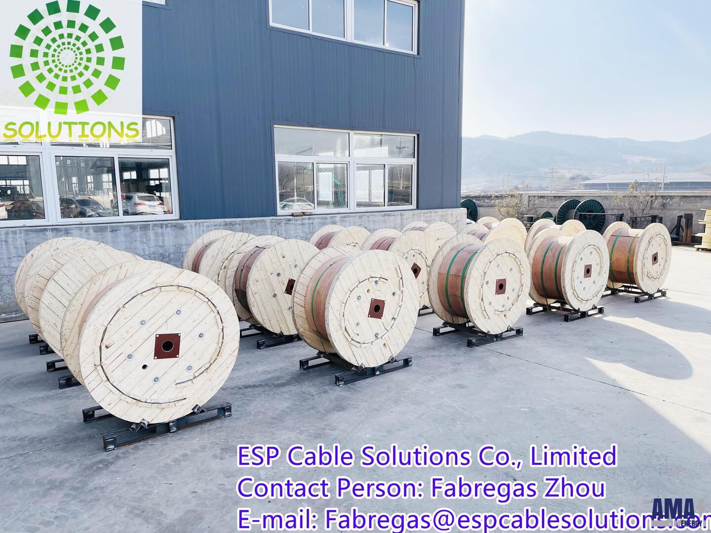 TEC Cable/Tubing Encapsulated Cable | AmasEnergy