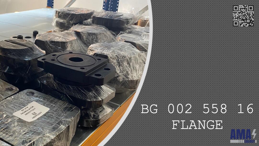 FLANGE - BG 002 558 16 - BG00255816 | AmasEnergy